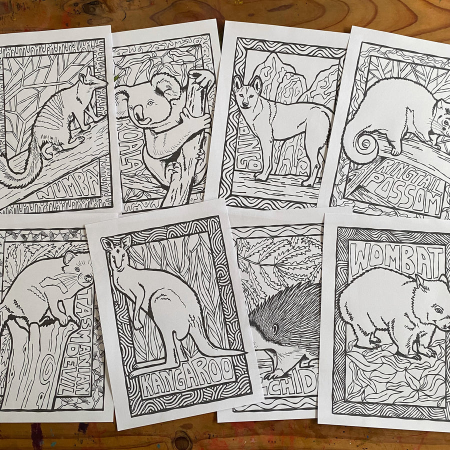 Australian native animals- Colouring in sheets - Mini Mad Things
