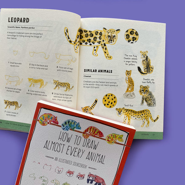 How To Draw Almost Every Animal - Mini Mad Things