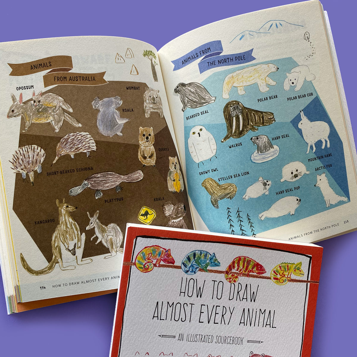 How To Draw Almost Every Animal - Mini Mad Things