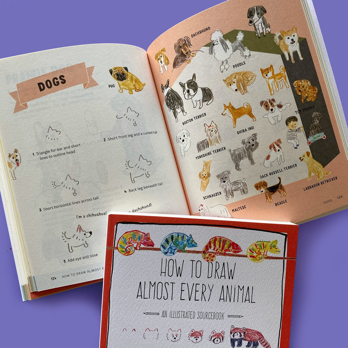 How To Draw Almost Every Animal - Mini Mad Things