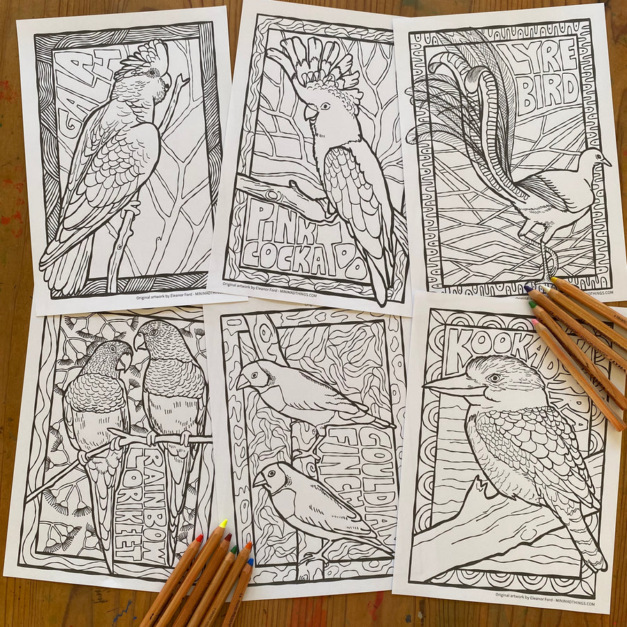 Australian native birds - Colouring in sheets - Mini Mad Things