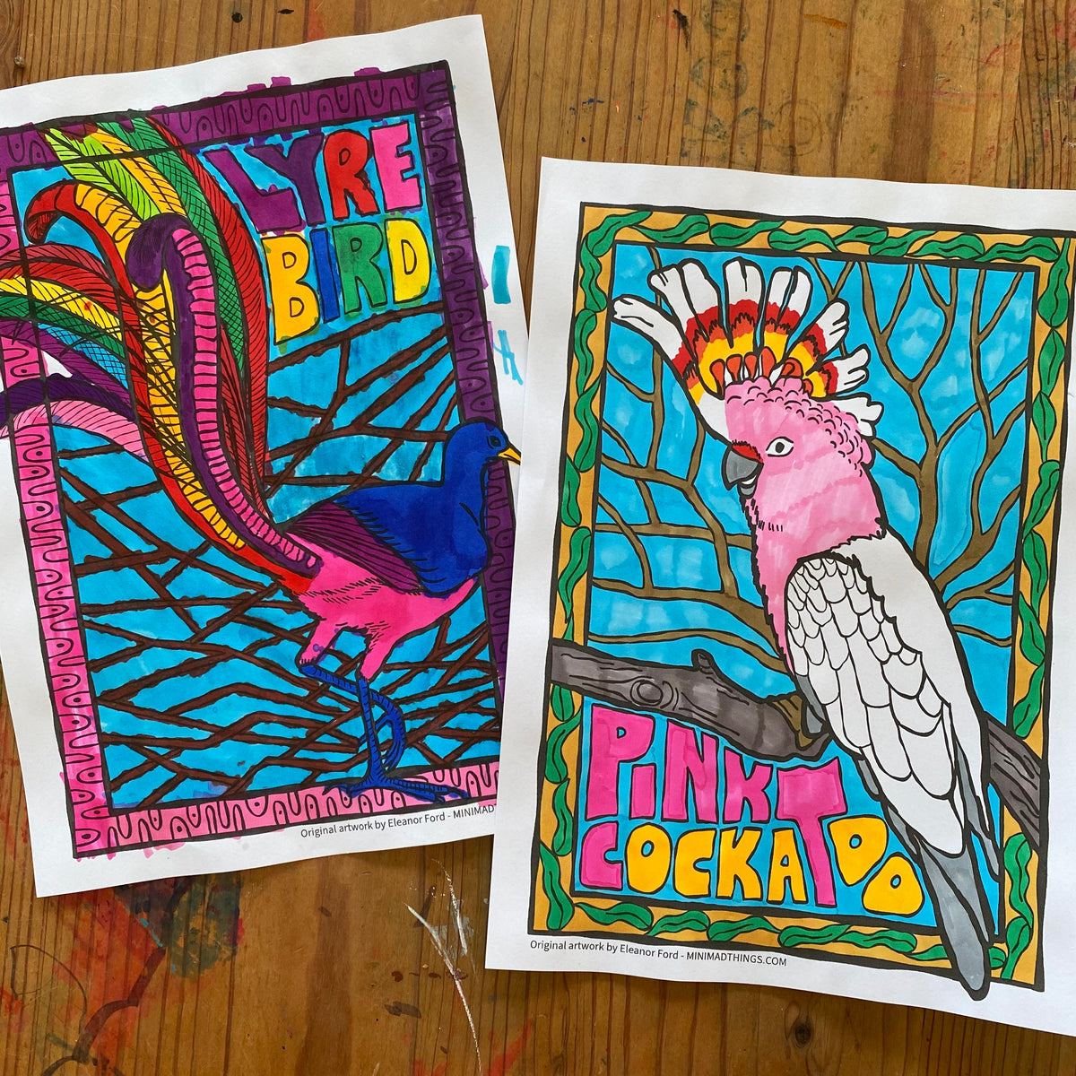 Australian native birds - Colouring in sheets - Mini Mad Things