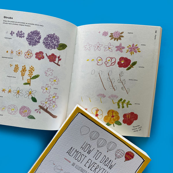 How To Draw Almost Everything - Mini Mad Things