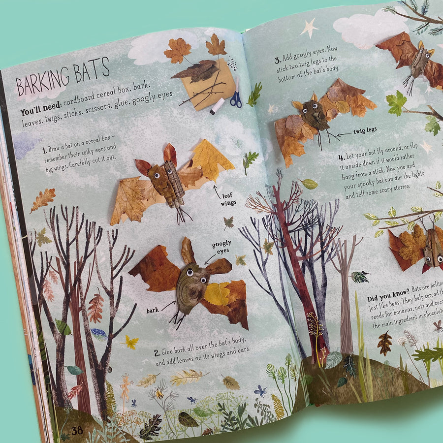 The Big Book of Nature Art - Mini Mad Things
